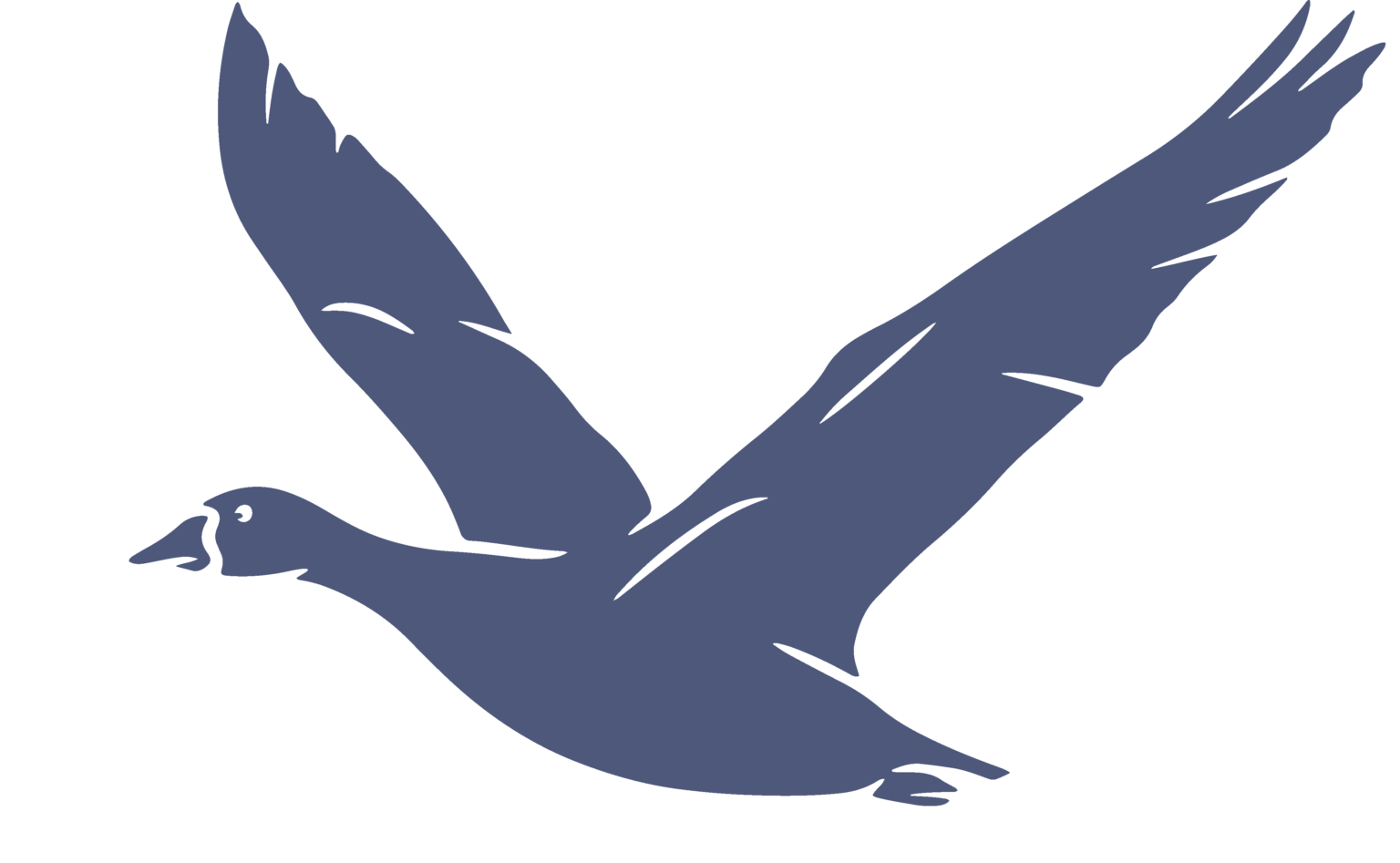 This site is in progress. - Gander Advisory